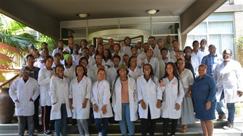 Mintek Jobs and Vacancies - Careers24