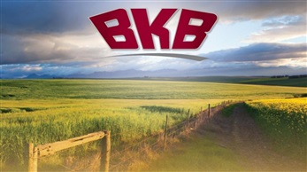 BKB Jobs and Vacancies - Careers24