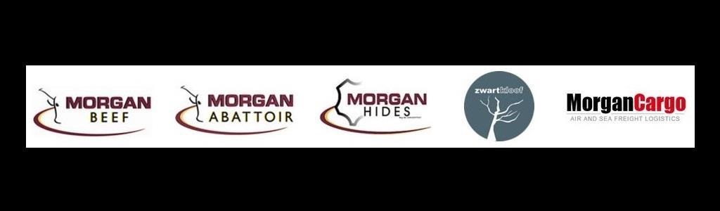 Morgan Group Jobs and Vacancies - Careers24