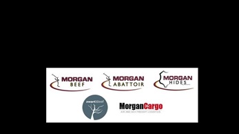 Morgan Group Jobs and Vacancies - Careers24