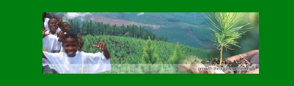 SAFCOL Jobs and Vacancies - Careers24