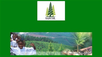 SAFCOL Jobs and Vacancies - Careers24